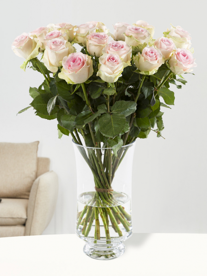 20 zachtroze rozen - Sweet Revival