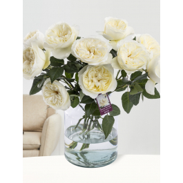 10 witte rozen - David Austin | SURPROSE.NL