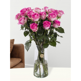 20 roze rozen - Revival | Felroze rozen | SURPROSE.nl
