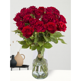 25 rode rozen - EverRed | Verse rozen | SURPROSE.NL