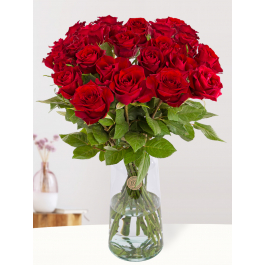 25 rode rozen - EverRed | Verse rozen | SURPROSE.NL