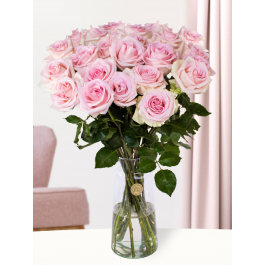 25 zachtroze rozen - Sweet Revival | Verse rozen | SURPROSE