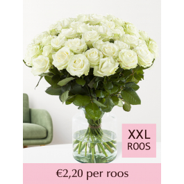 100 tot en met 499 witte rozen | Surprose.nl