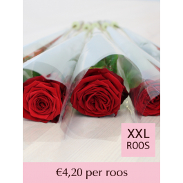 Rode rozen per stuk verpakt - Red Naomi bestellen | Surprose.nl