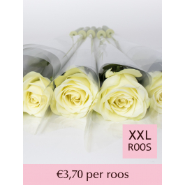Witte rozen per stuk verpakt - Snowstorm - 10 t/m 99 | Surprose
