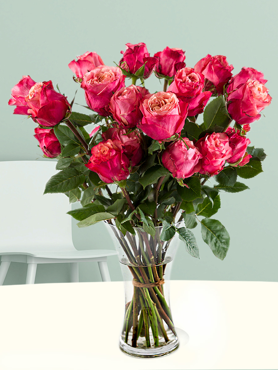 Rozenverzorging | Blog artikel van Surprose