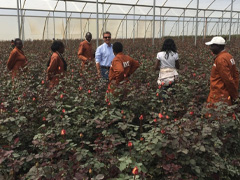 Onze kwekers | SURPROSE